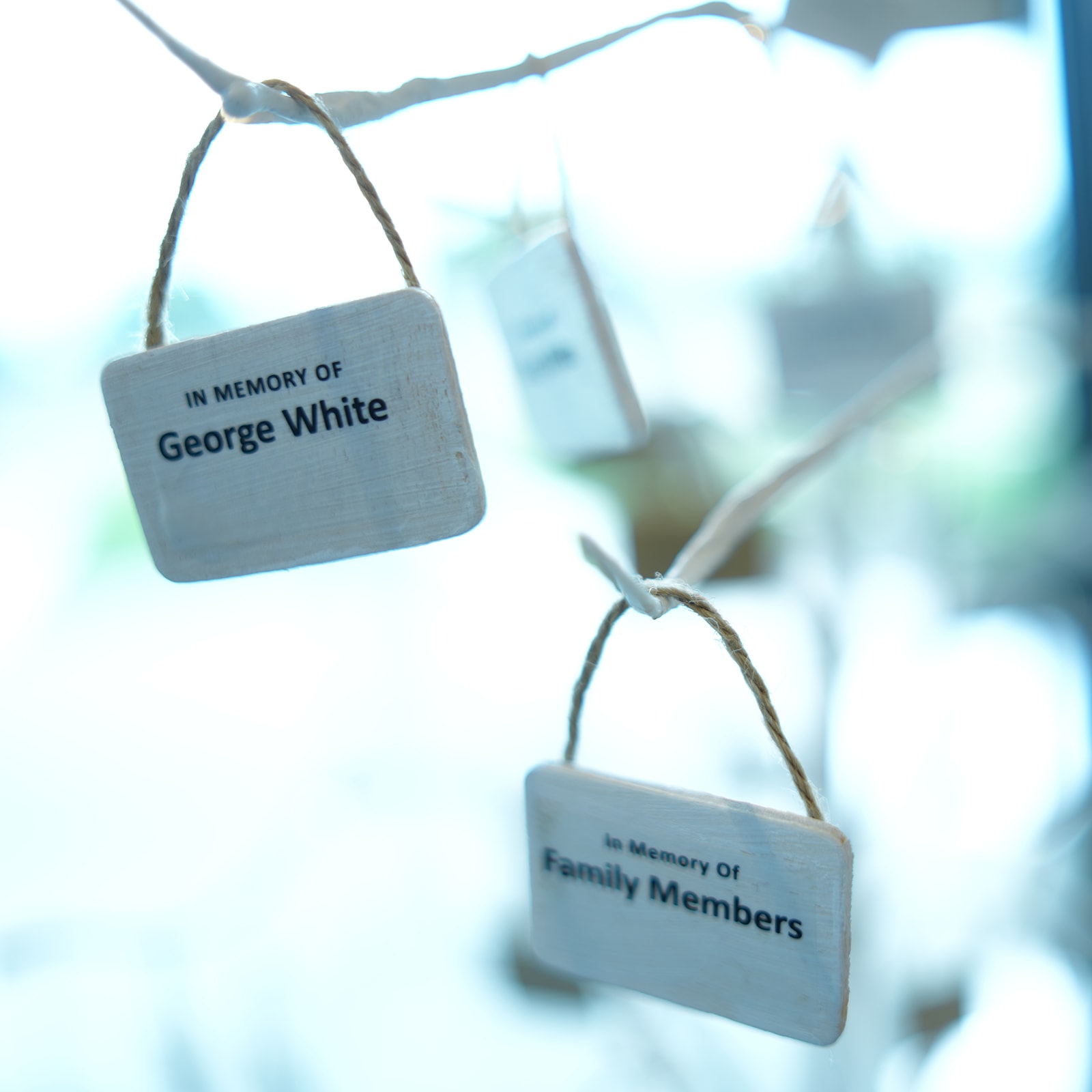 Tree of Lights - Regional Medical Center